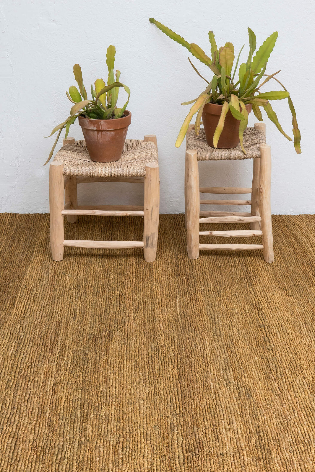 Earth | Jute rugs for your home - nanimarquina